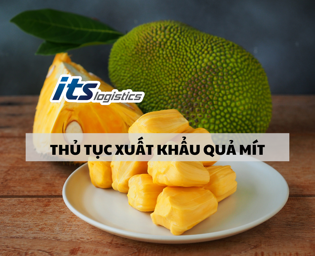 THỦ TỤC XUẤT KHẨU QUẢ MÍT – CỔNG THÔNG TIN ITS LOGISTICs