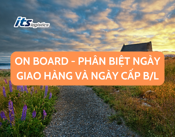 ON BOARD – PHÂN BIỆT NGÀY GIAO HÀNG VÀ NGÀY CẤP B/L – CỔNG THÔNG TIN ...