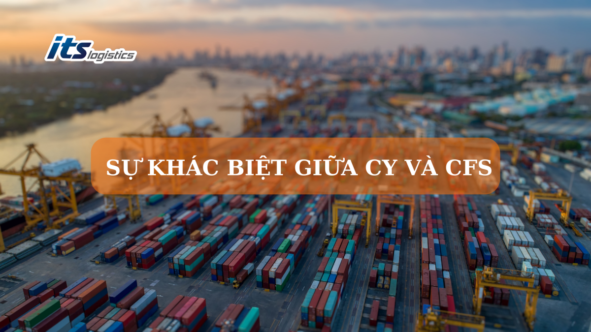SỰ KHÁC BIỆT GIỮA CY VÀ CFS – CỔNG THÔNG TIN ITS LOGISTICs